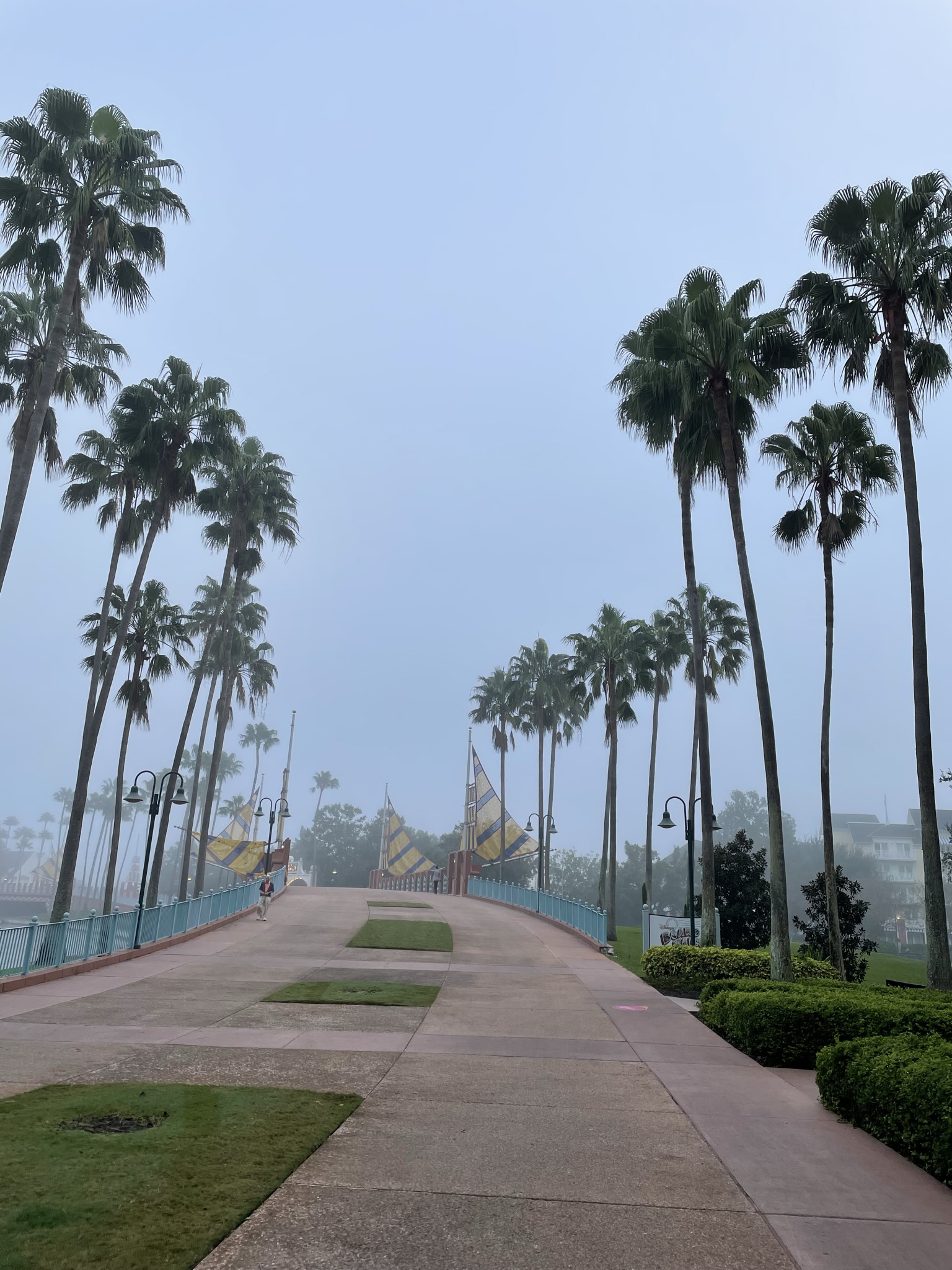 Early introverts get the worm at Disney Parks - D•Introverts