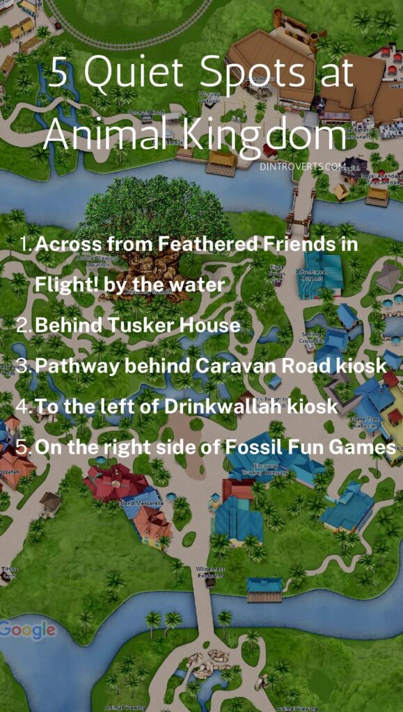 Top five quiet spots at Disney’s Animal Kingdom - D•Introverts