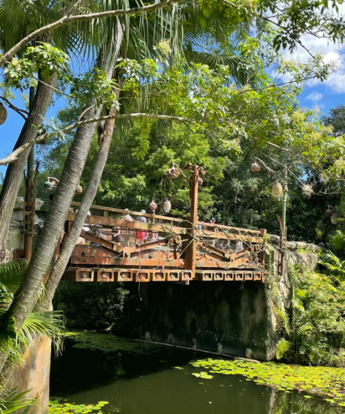 When introverts plan an afternoon at Disney’s Animal Kingdom - D•Introverts