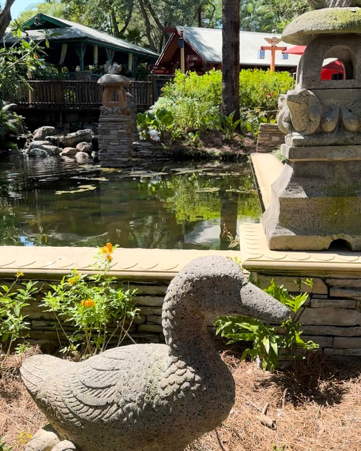 Best Animal Kingdom quick-service restaurant for introverts - D•Introverts